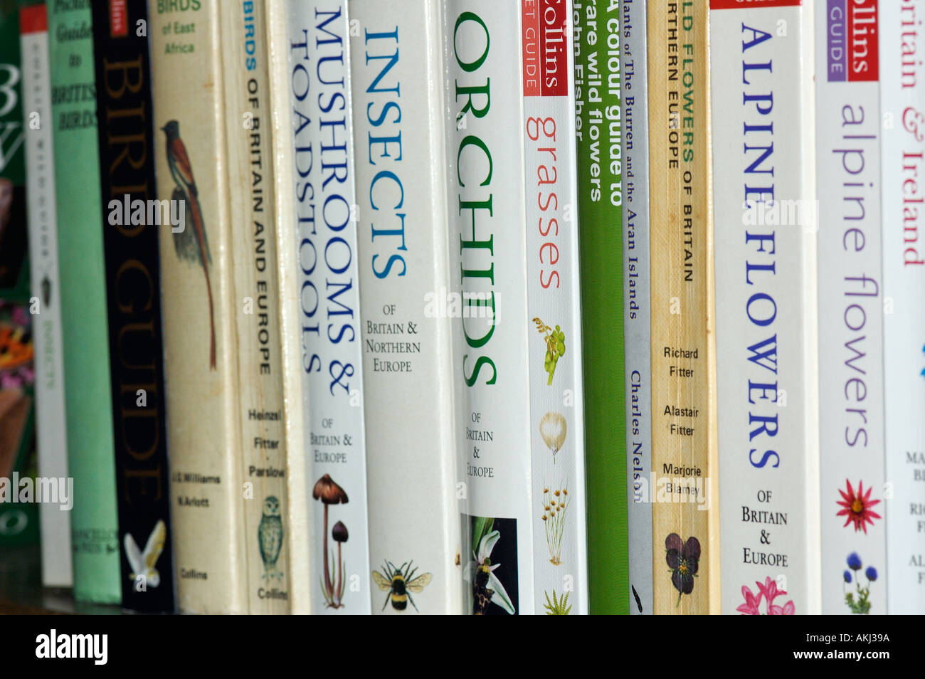 Field guides to wild plants birds Insects Stock Photo - Alamy