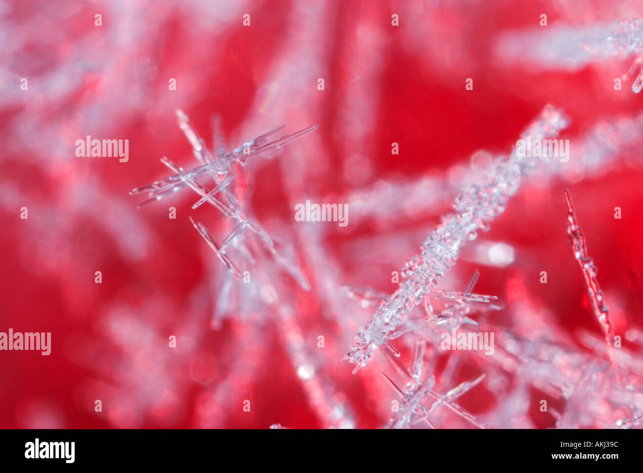 snow ice crystals Stock Photo - Alamy