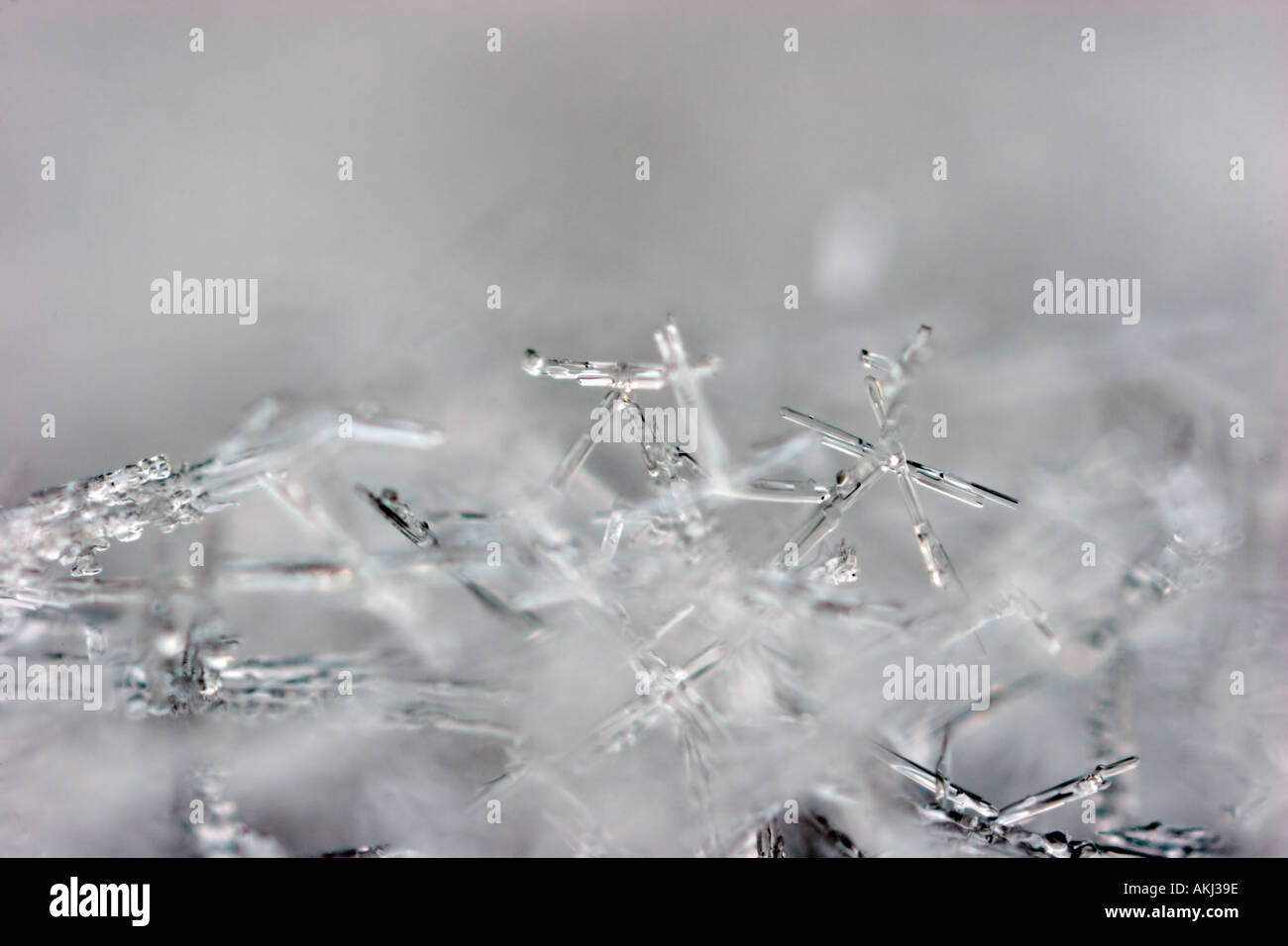 snow ice crystals Stock Photo - Alamy