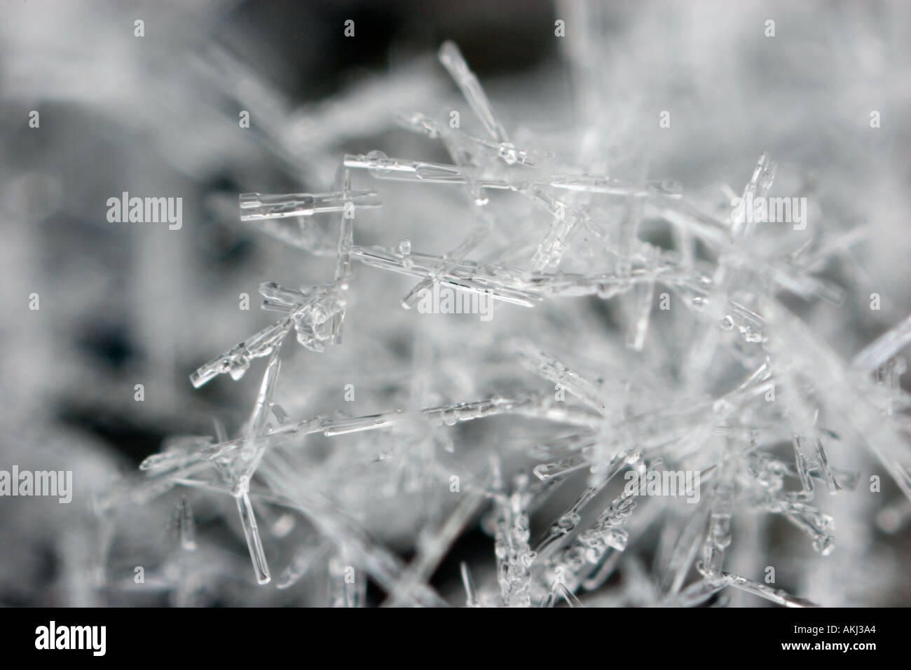 snow ice crystals Stock Photo - Alamy