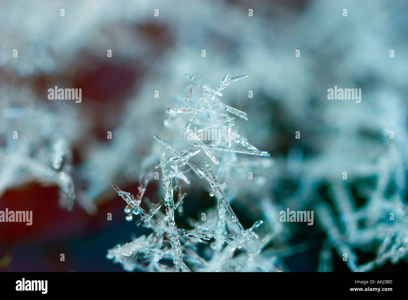 snow ice crystals Stock Photo - Alamy