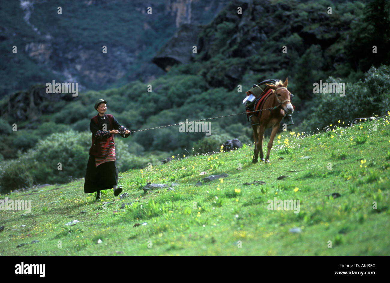 Woman with horse Nyinteng Nature Reserve Rigsum Gonpo or Dabpa Lhari ...