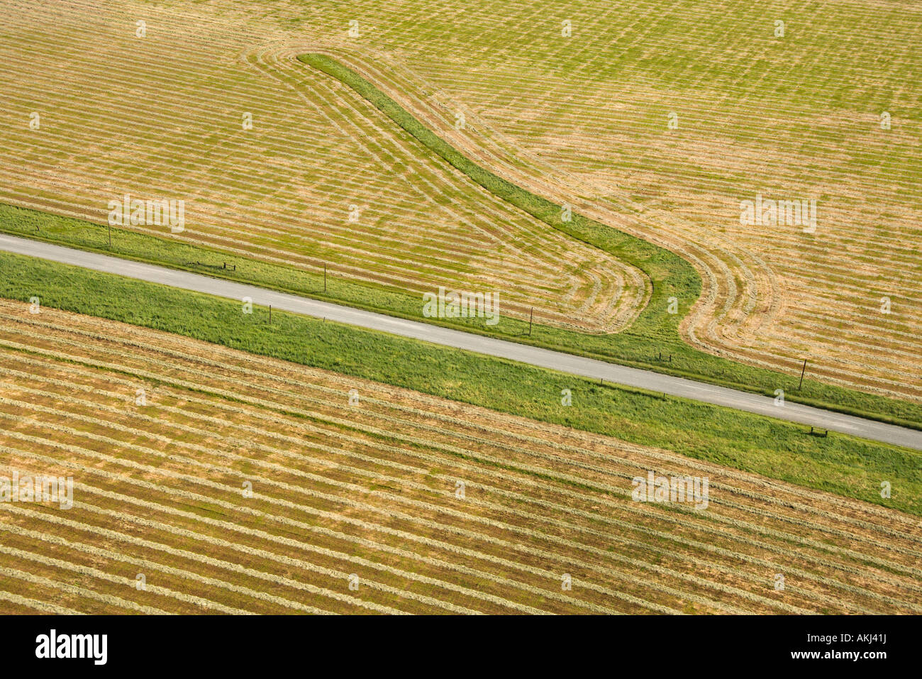 Aerial of rows in agricultural cropland Stock Photo - Alamy
