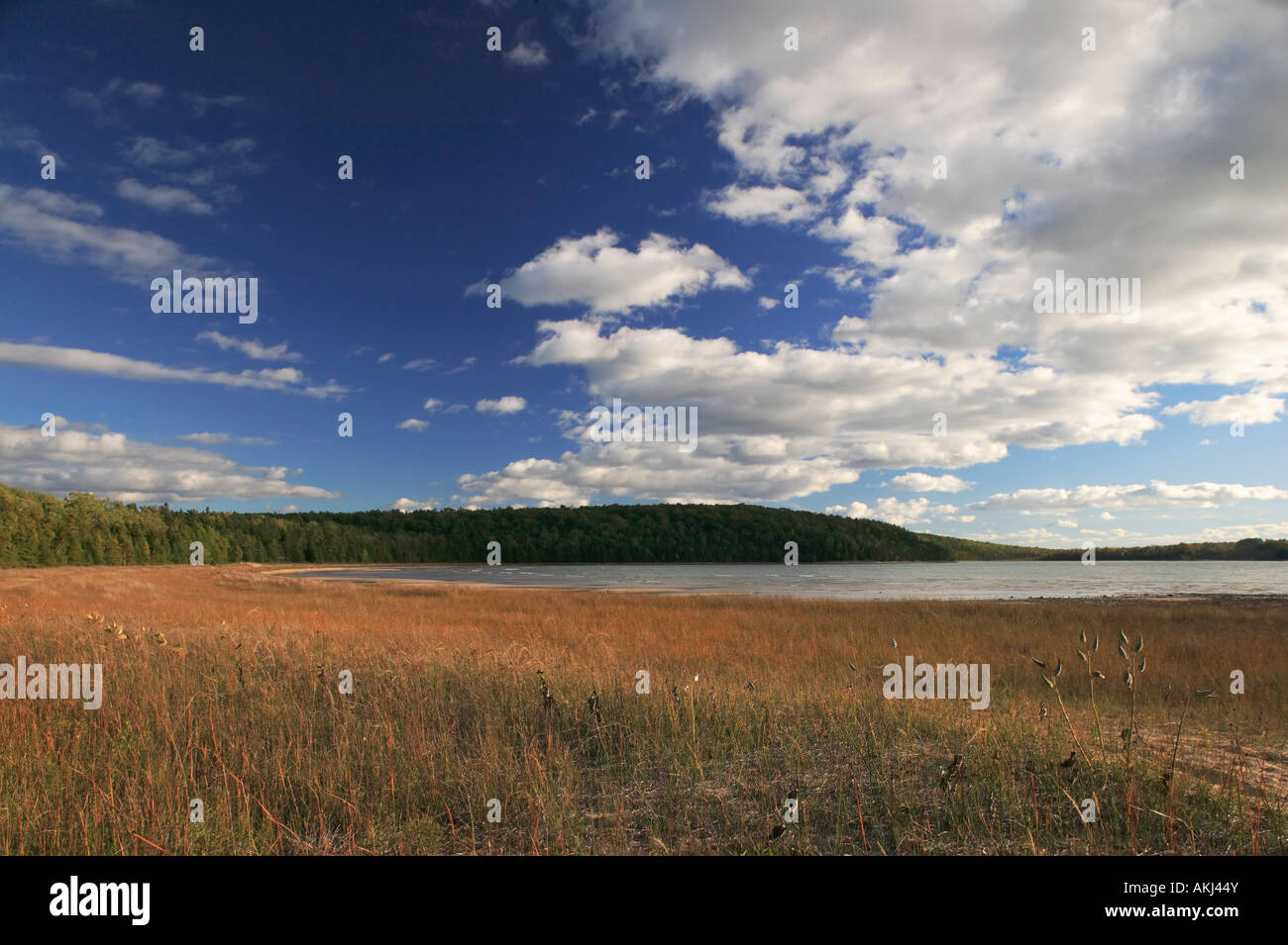 Shorline on Lake Michigan, Haunted Forest Preserve, Michigan s Upper ...