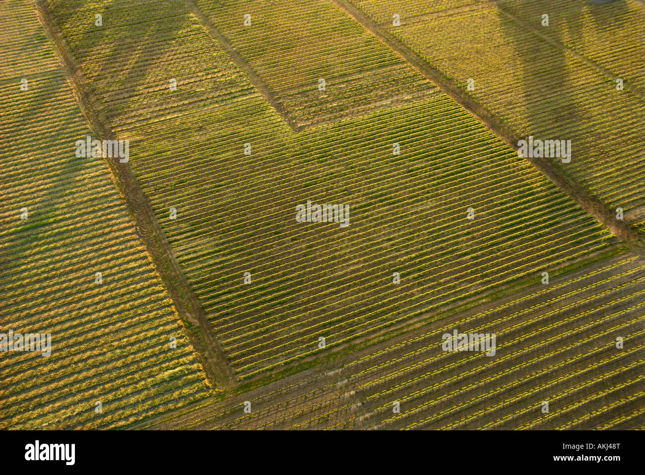 Aerial of agricultural cropland Stock Photo - Alamy