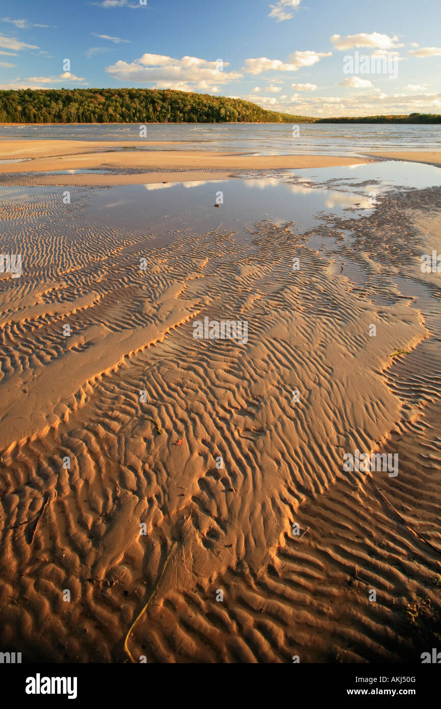 Sand patterns on the beach at the Haunted Forest Preserve on Lake ...