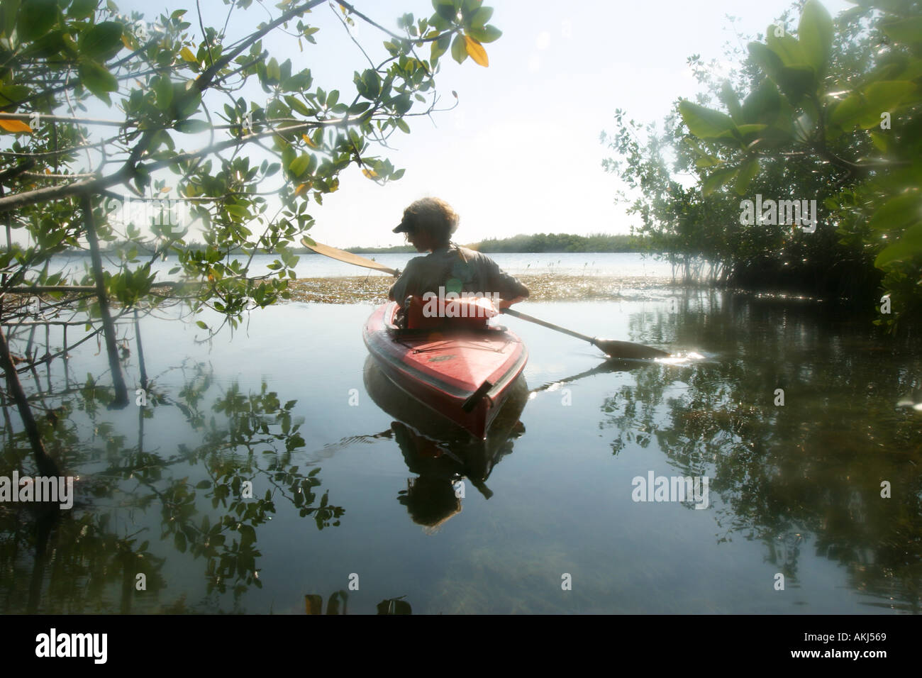 kayaking trip from key west in the florida keys Stock Photo - Alamy