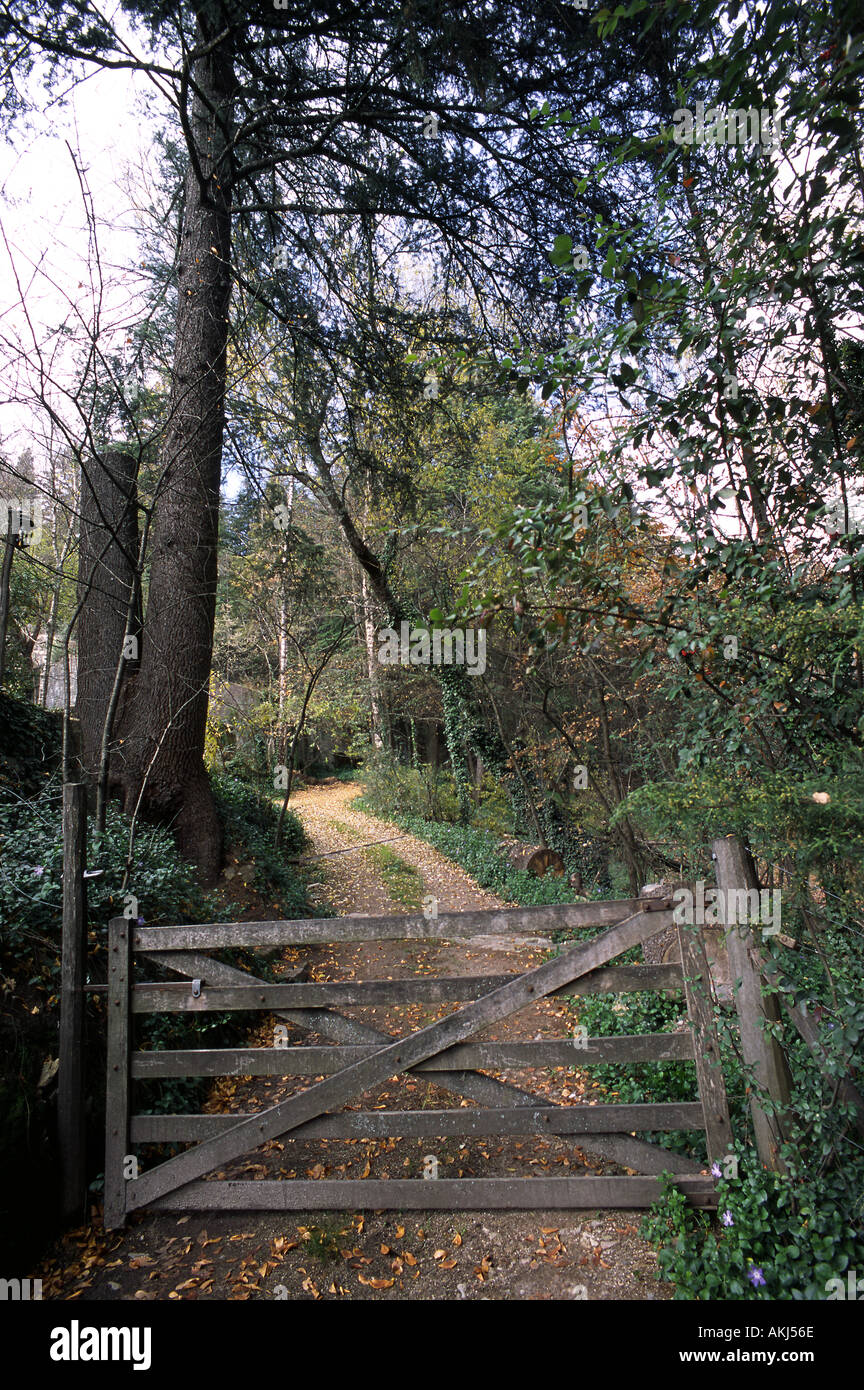 Wooden gate trees and pathway in rural Cordoba Argentina Stock Photo ...