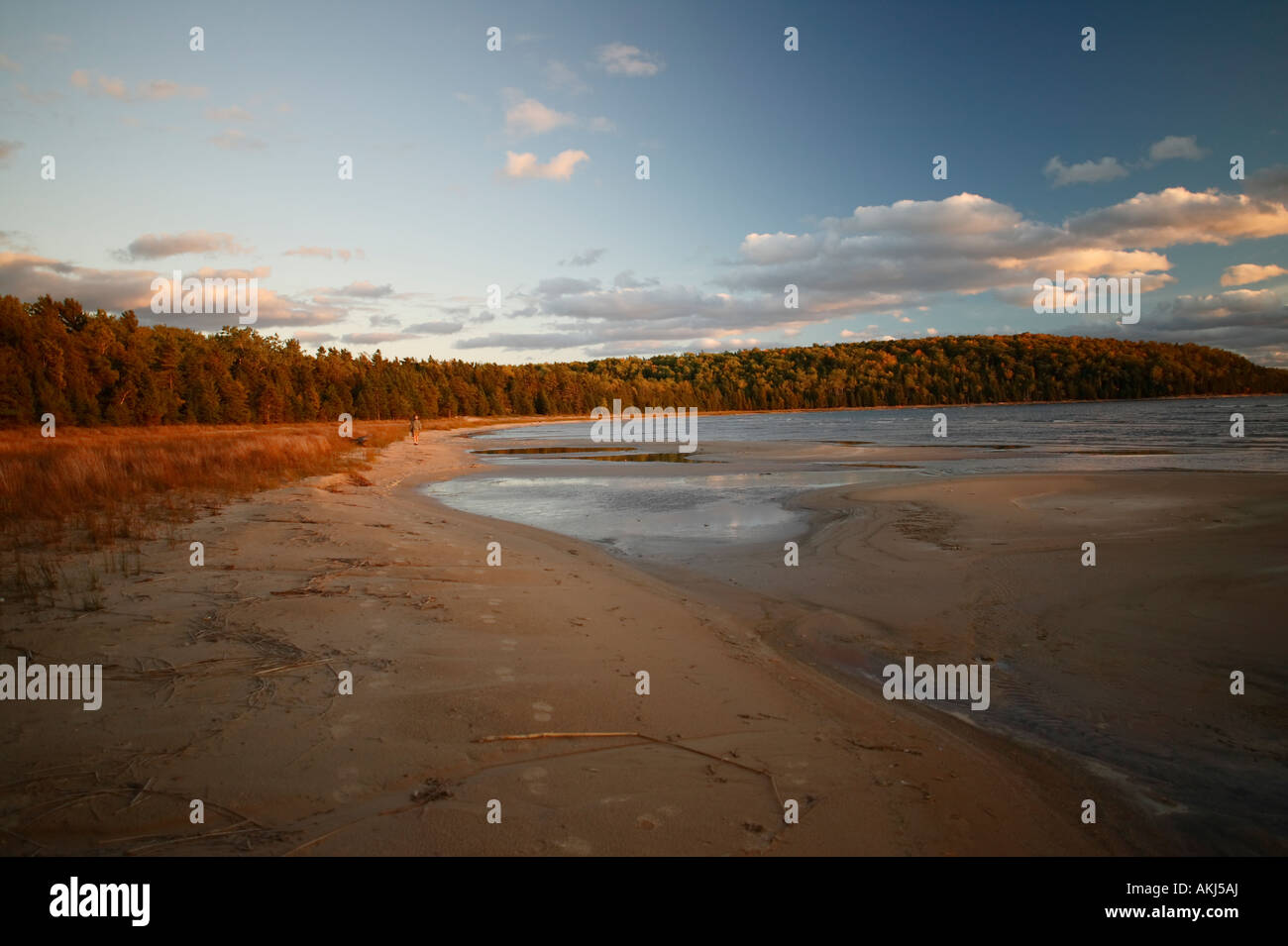Shorline on Lake Michigan, Haunted Forest Preserve, Michigan s Upper ...