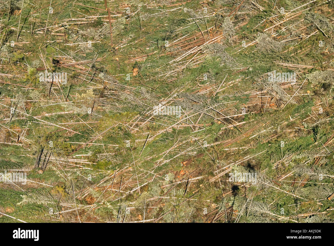 Aerial of clear cut landscape with cut trees on ground USA Stock Photo ...