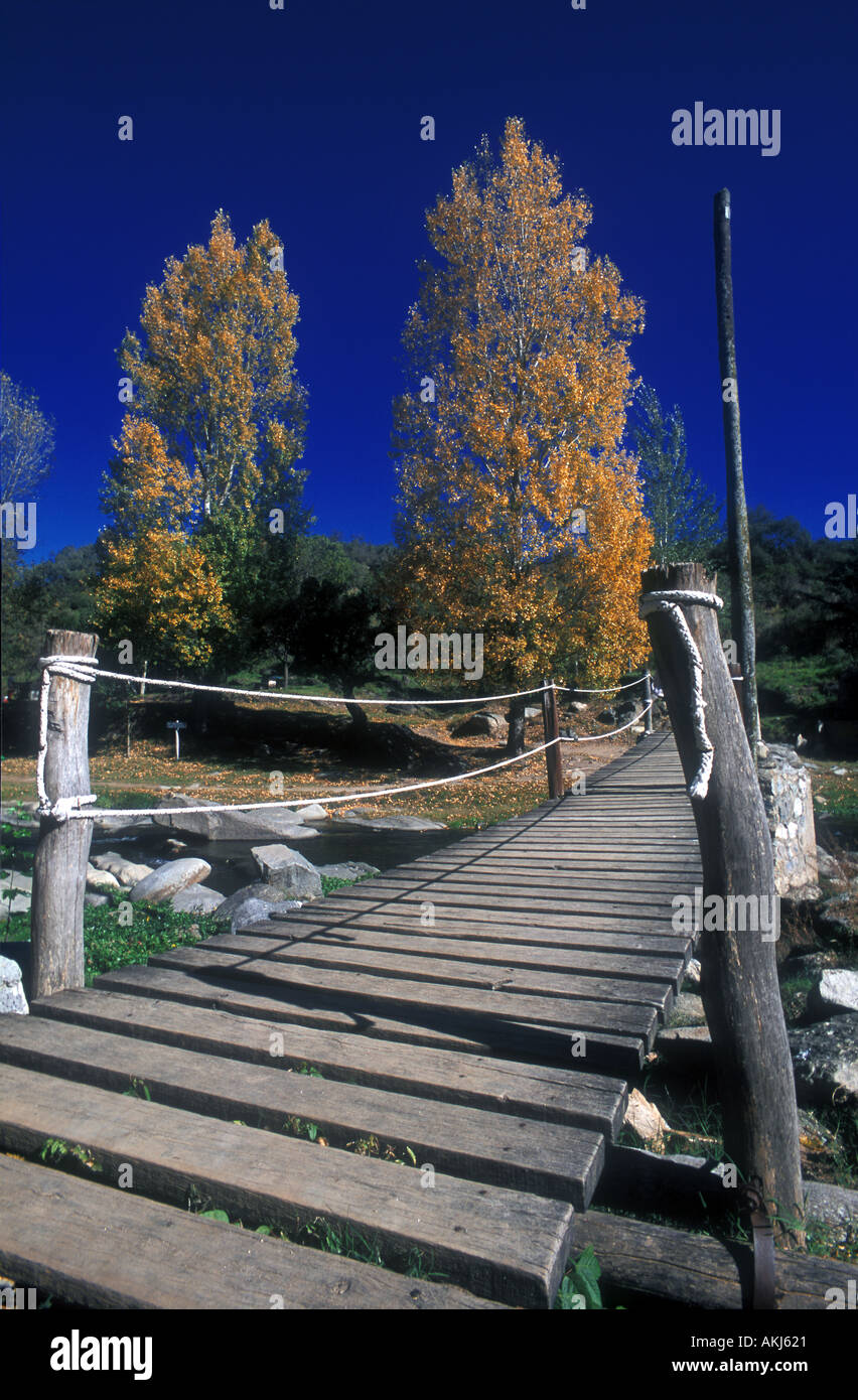 Rustic pedestrian bridge in rural hi-res stock photography and images ...