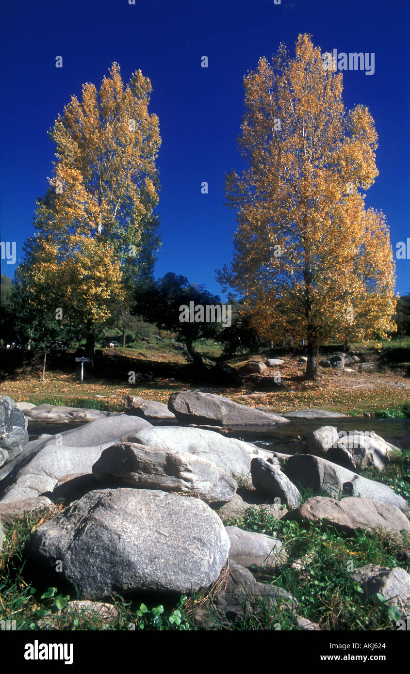 A rustic pedestrian bridge in a rural landscape in Cordoba Argentina ...