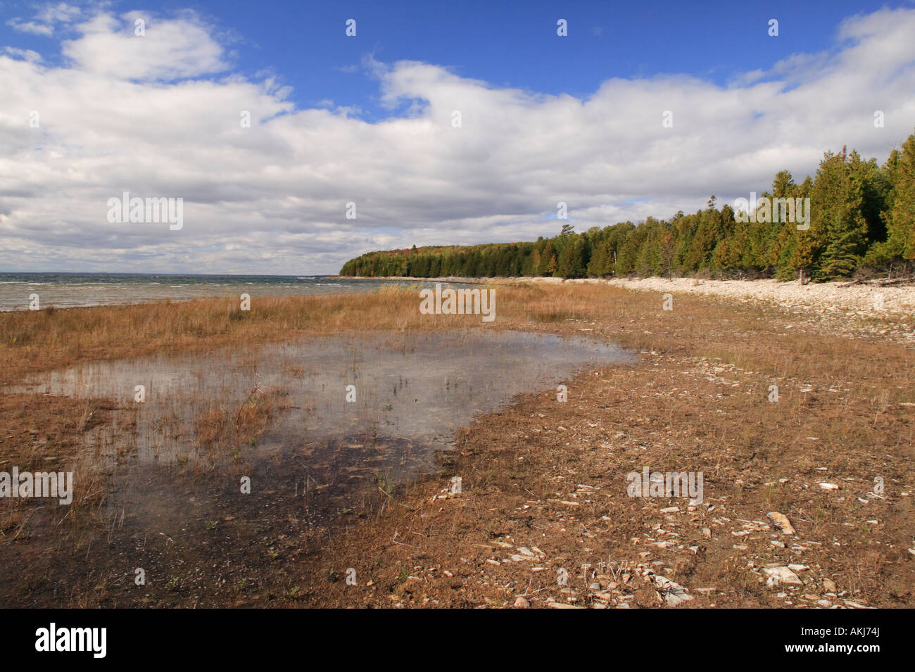 Shorline on Lake Michigan, Haunted Forest Preserve, Michigan s Upper ...