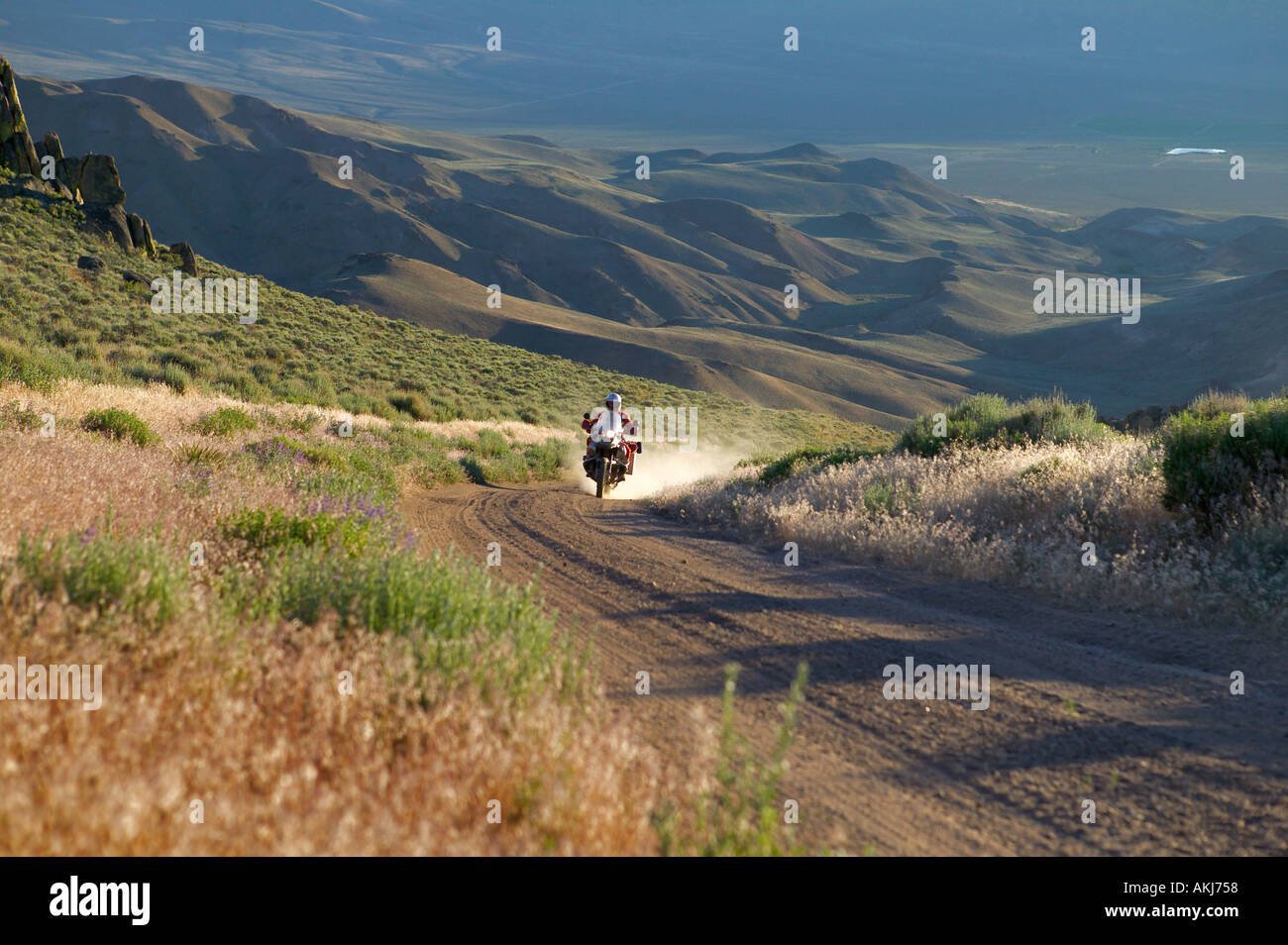 Motorcycle riding grasslands hi-res stock photography and images - Alamy