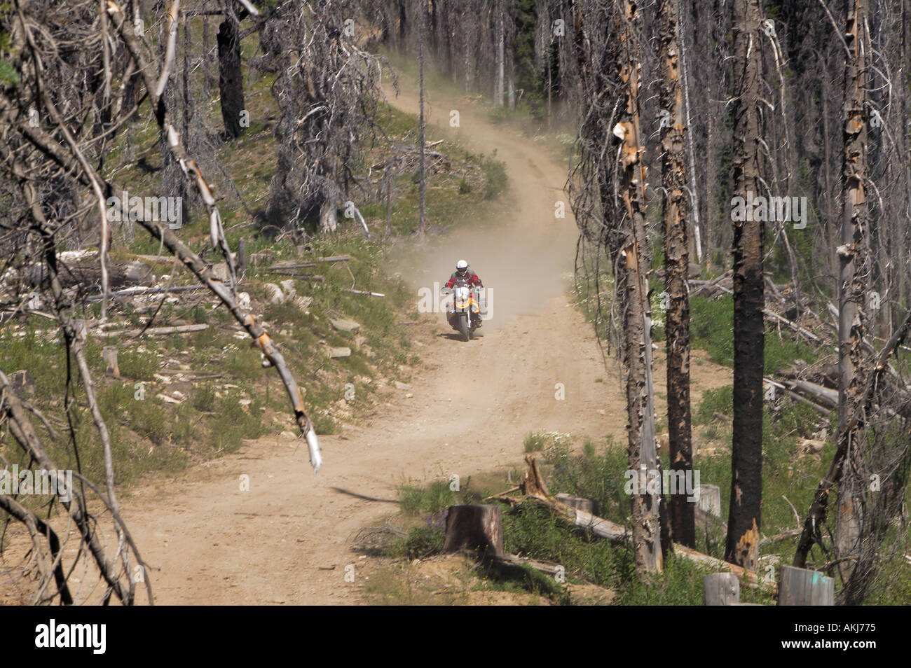 Single track riding in the mountains of Washington USA Stock Photo - Alamy