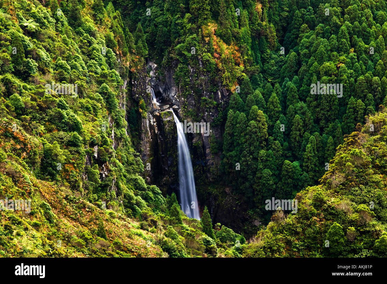 Hidden Waterfall in the Azores Stock Photo - Alamy