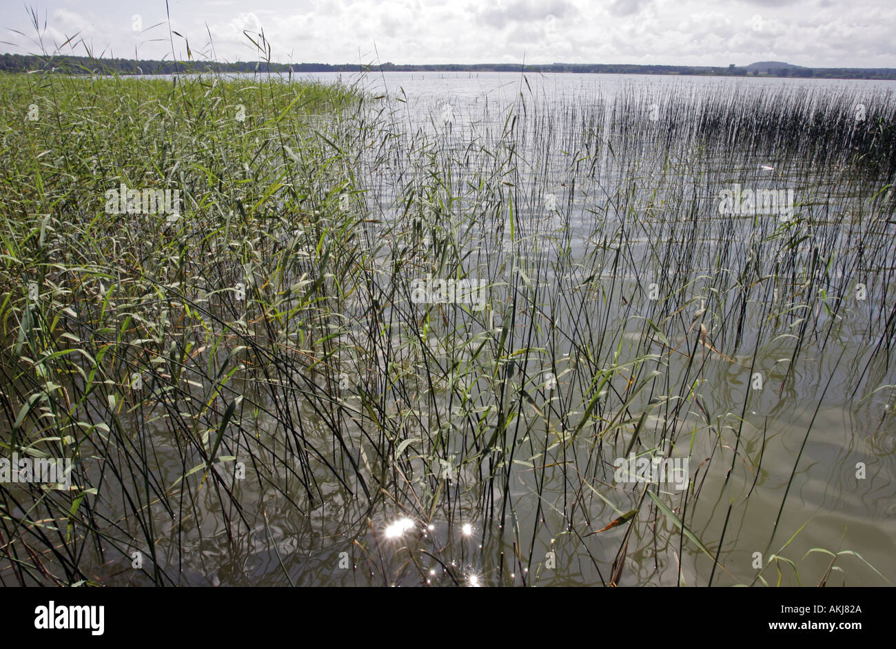 Backaskog High Resolution Stock Photography and Images - Alamy