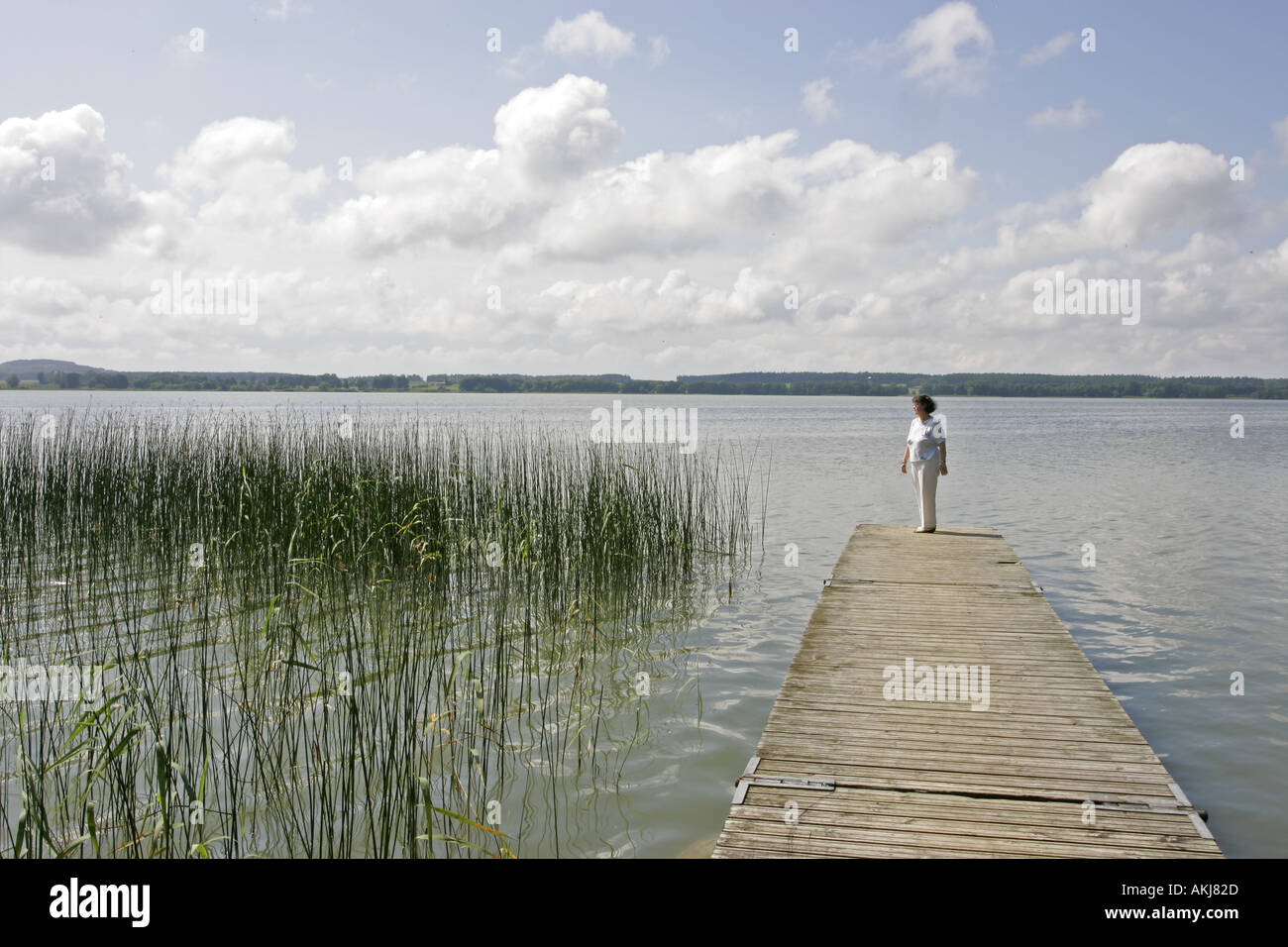 Backaskog High Resolution Stock Photography and Images - Alamy
