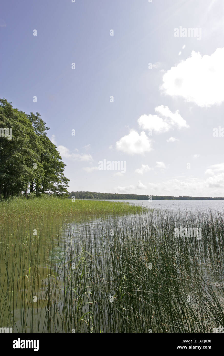 Backaskog High Resolution Stock Photography and Images - Alamy