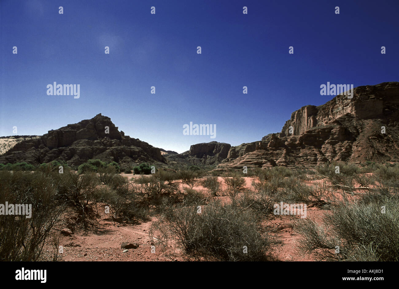 Desertic landscape in the Moon Valley in Argentina Stock Photo - Alamy