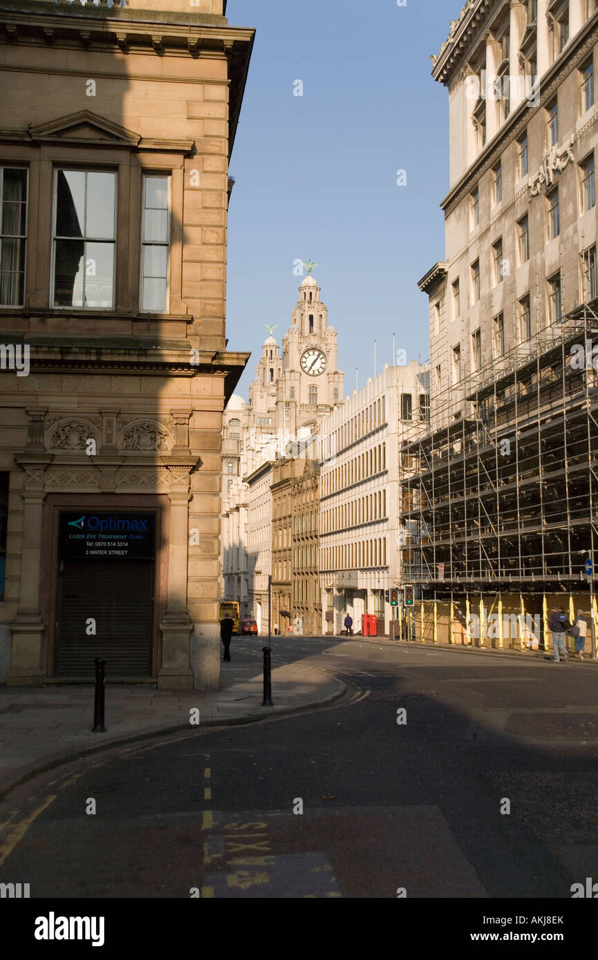 Royal Liver Building from Dale Street, Liverpool, England Stock Photo ...