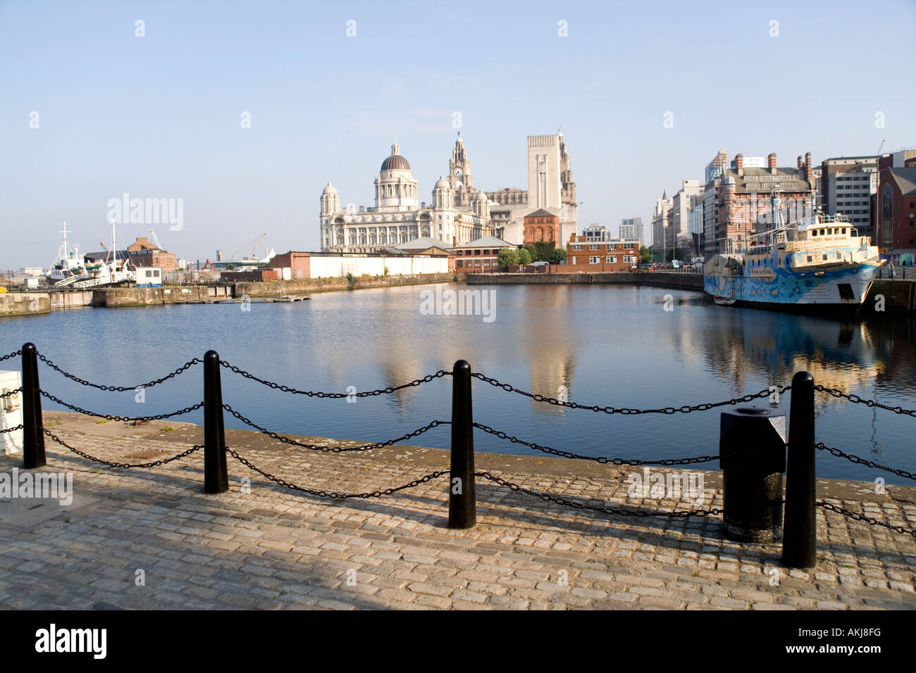 The Liver Building from the Hartley Quay with Canning Dock in front ...