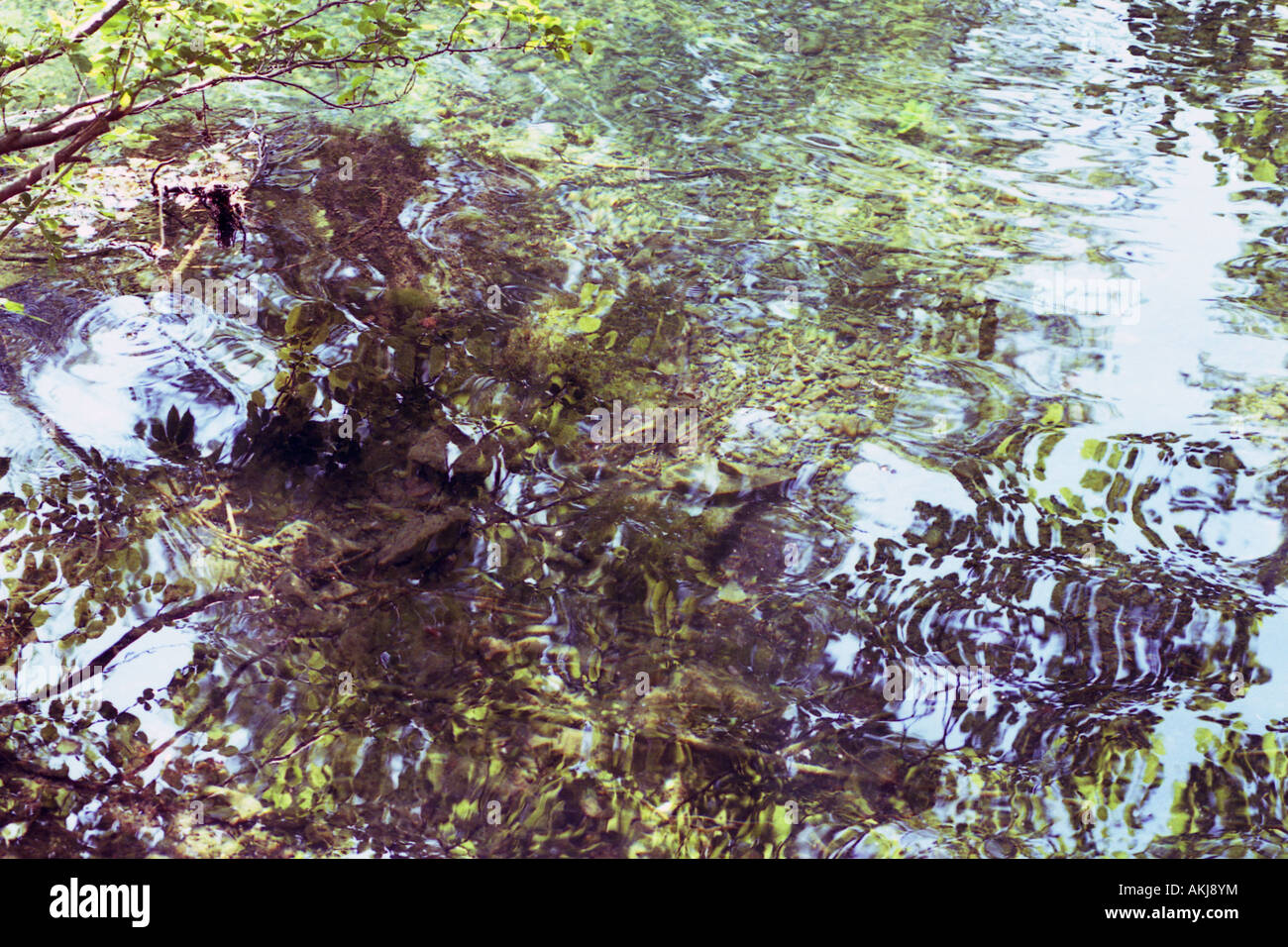 Vis river translucent water Stock Photo - Alamy