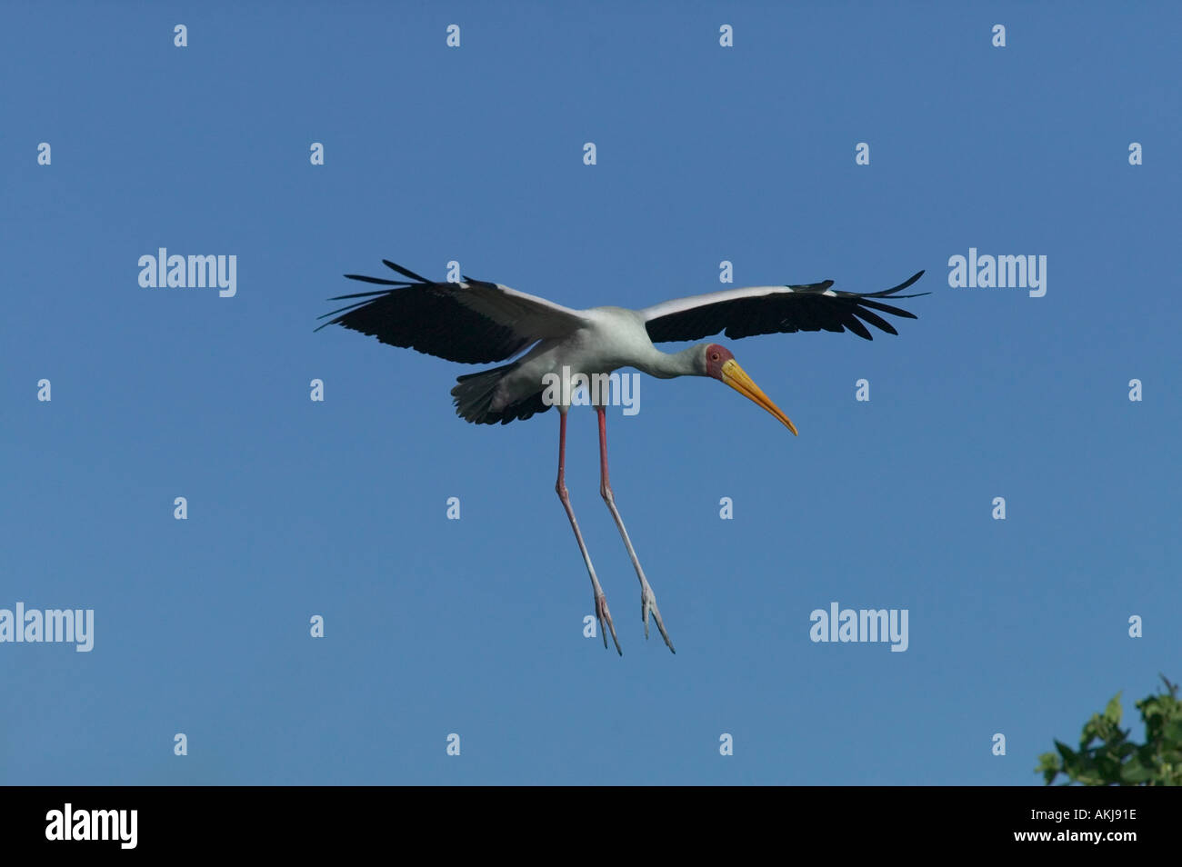Delta coming in for landing hi-res stock photography and images - Alamy