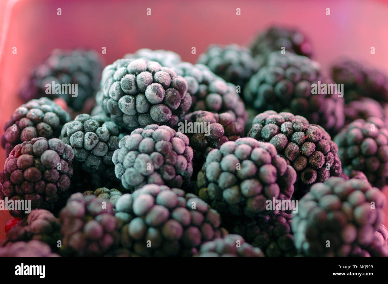 Ripe large blackberries close up hi-res stock photography and images ...