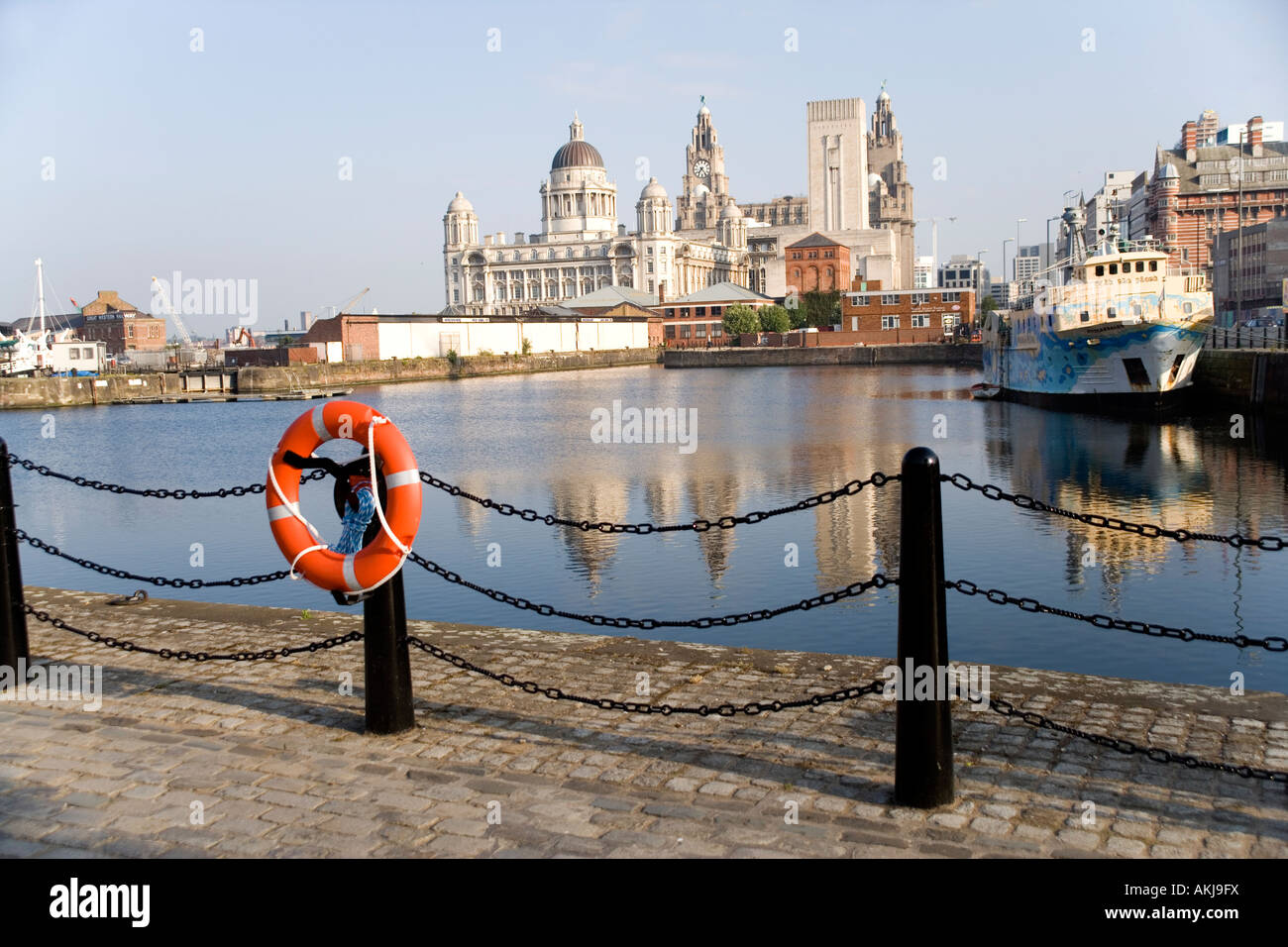 The Liver Building from the Hartley Quay with Canning Dock in front ...