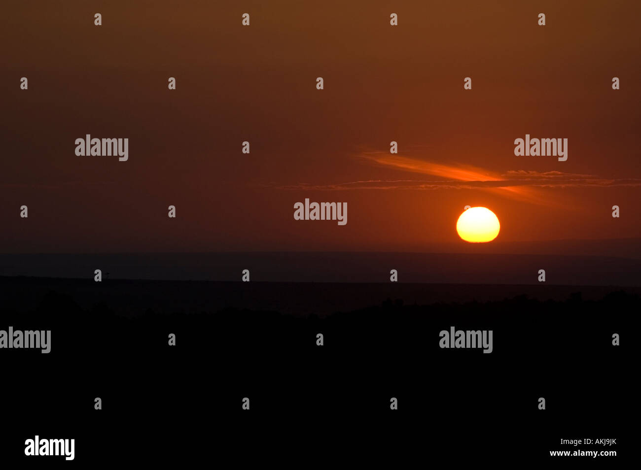 A beautiful African sunset in the Masai Mara, Kenya Stock Photo - Alamy