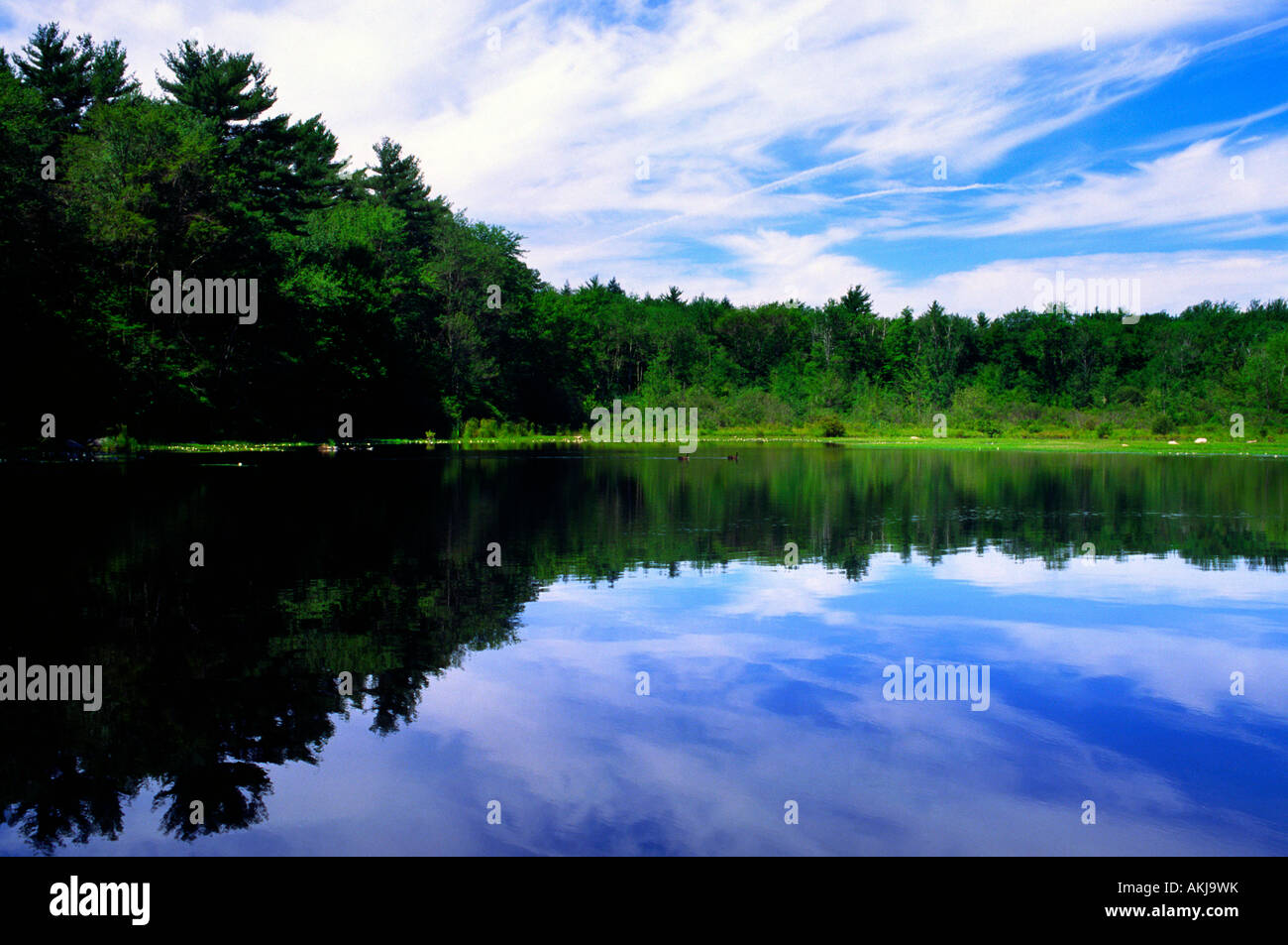 Summer day pond reflections Stock Photo - Alamy
