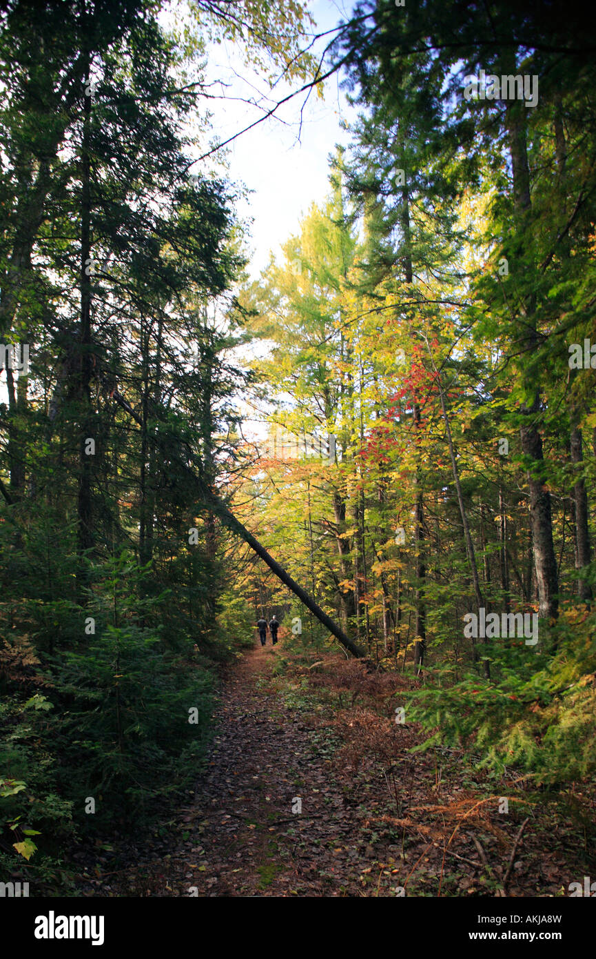 People on forest path McMahon Lake Forest Preserve Michigans Upper ...