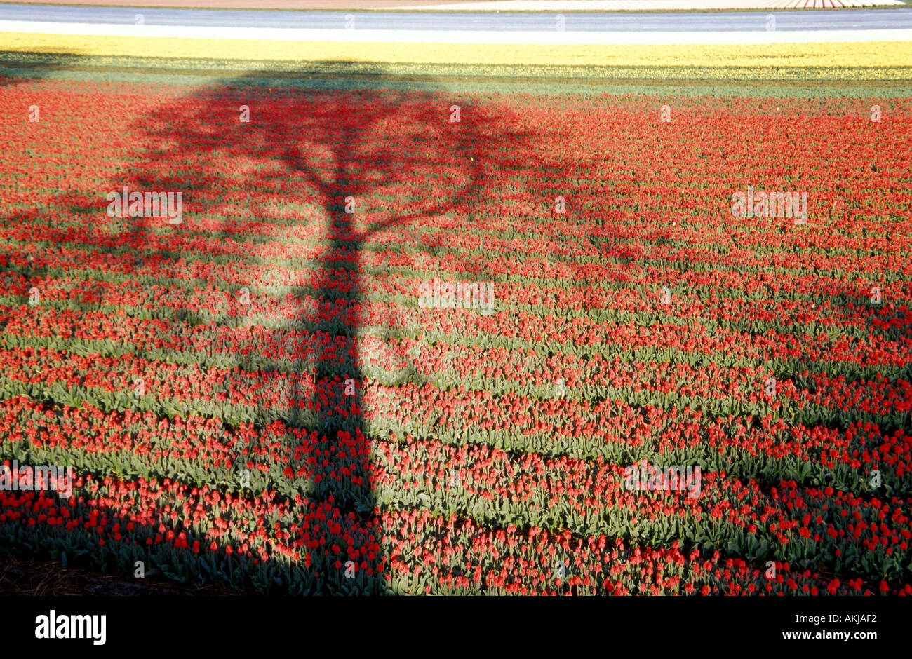 Awe sunny view on hi-res stock photography and images - Alamy