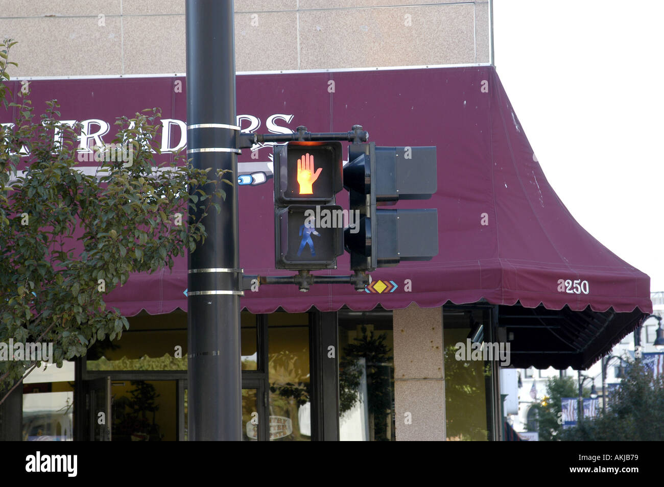Sign on traffic light pole directing pedestrians to walk or wait or ...