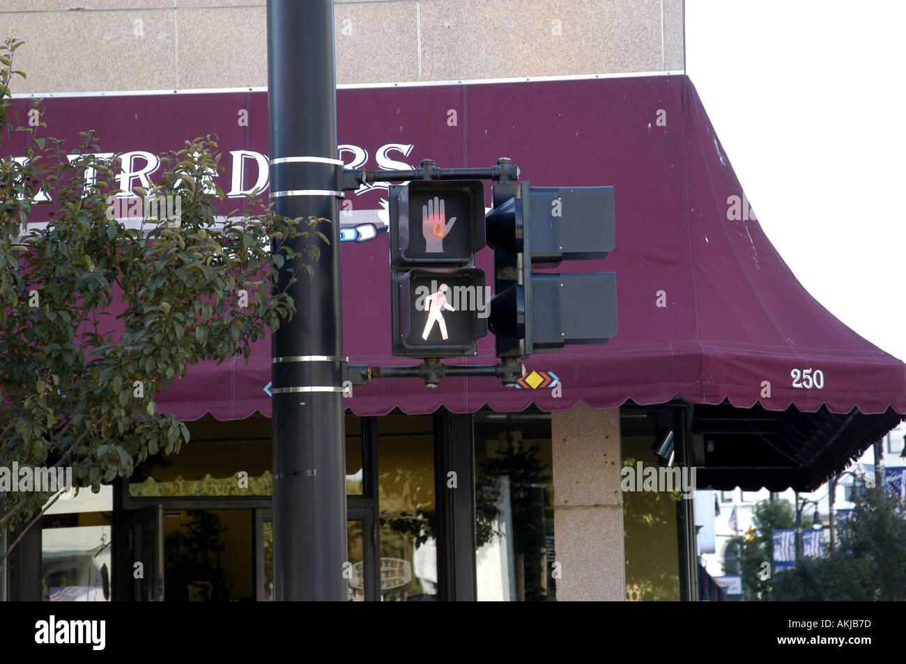 Sign on traffic light pole directing pedestrians to walk or wait or ...