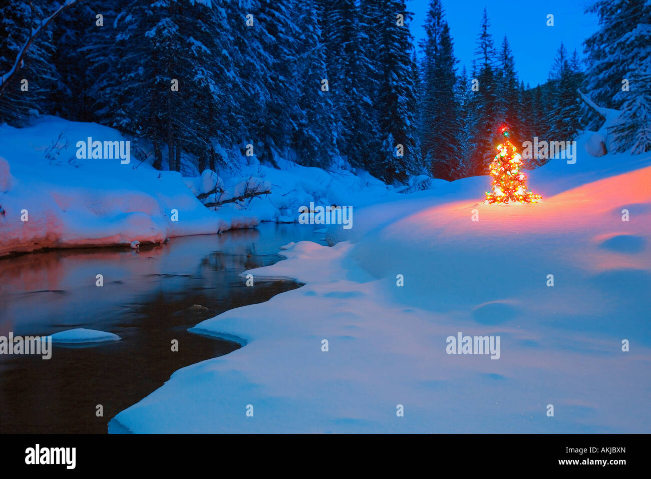 Glowing Christmas tree by mountain stream Stock Photo - Alamy