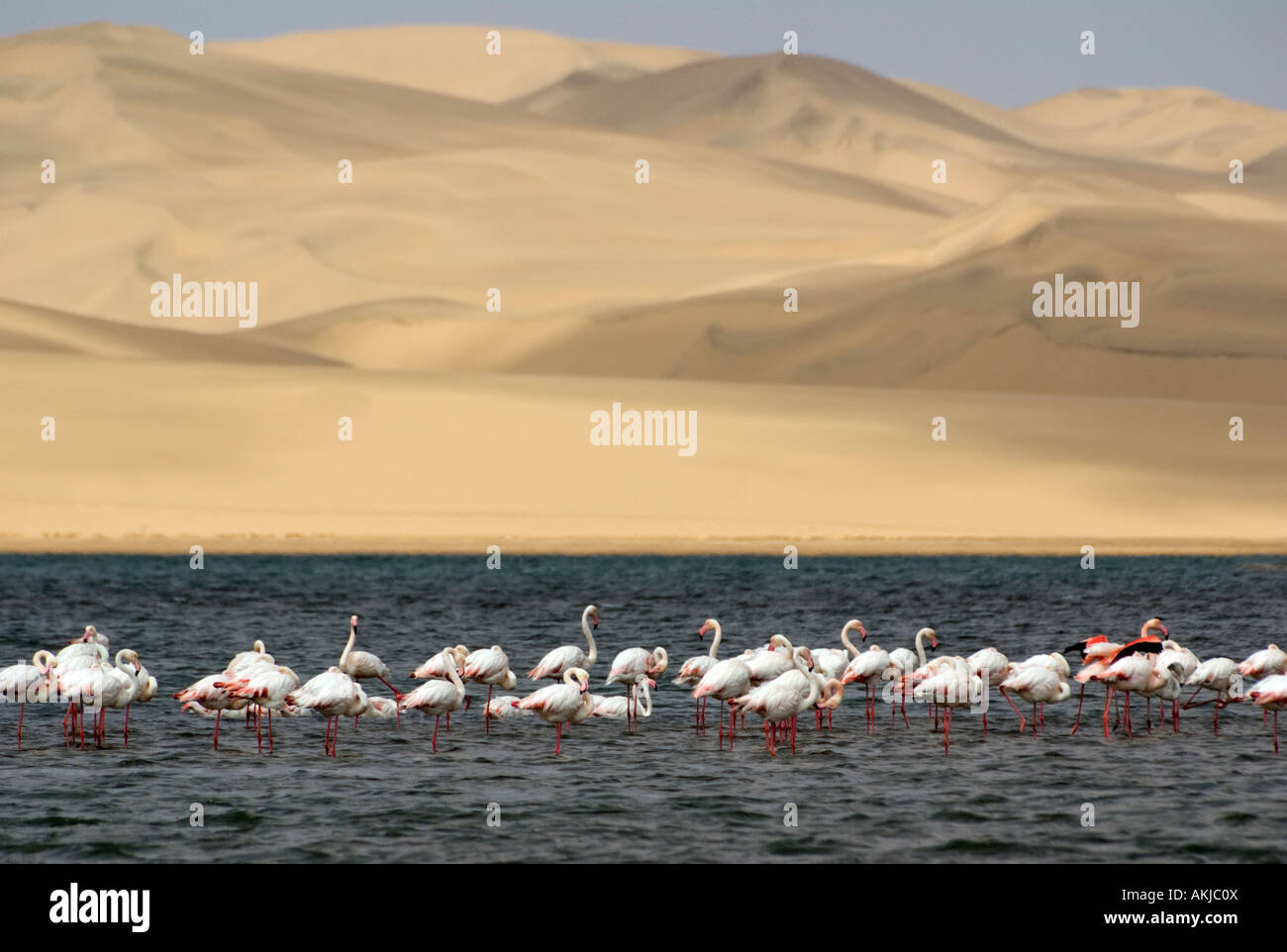 Sandwich harbour in namibia africa hi-res stock photography and images ...