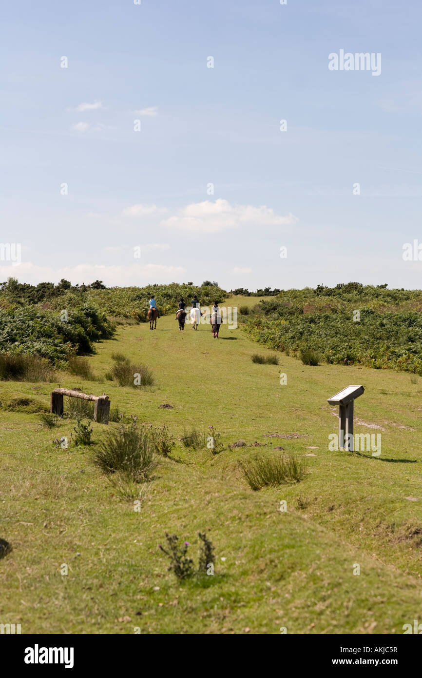 Ashdown Forest, Sussex England Stock Photo - Alamy