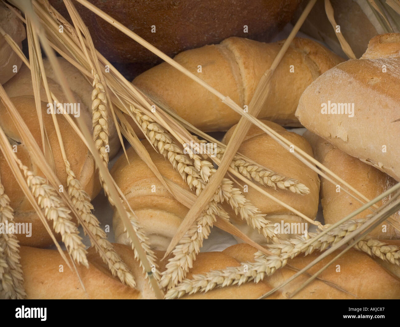 Bread rolls pane wheat display bakery window Lucca Tuscany Italy Stock ...