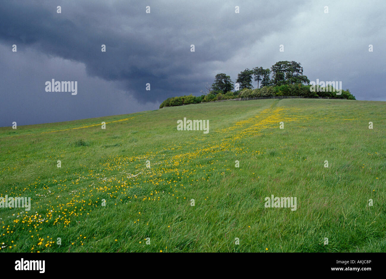 Wittenham clumps hi-res stock photography and images - Alamy
