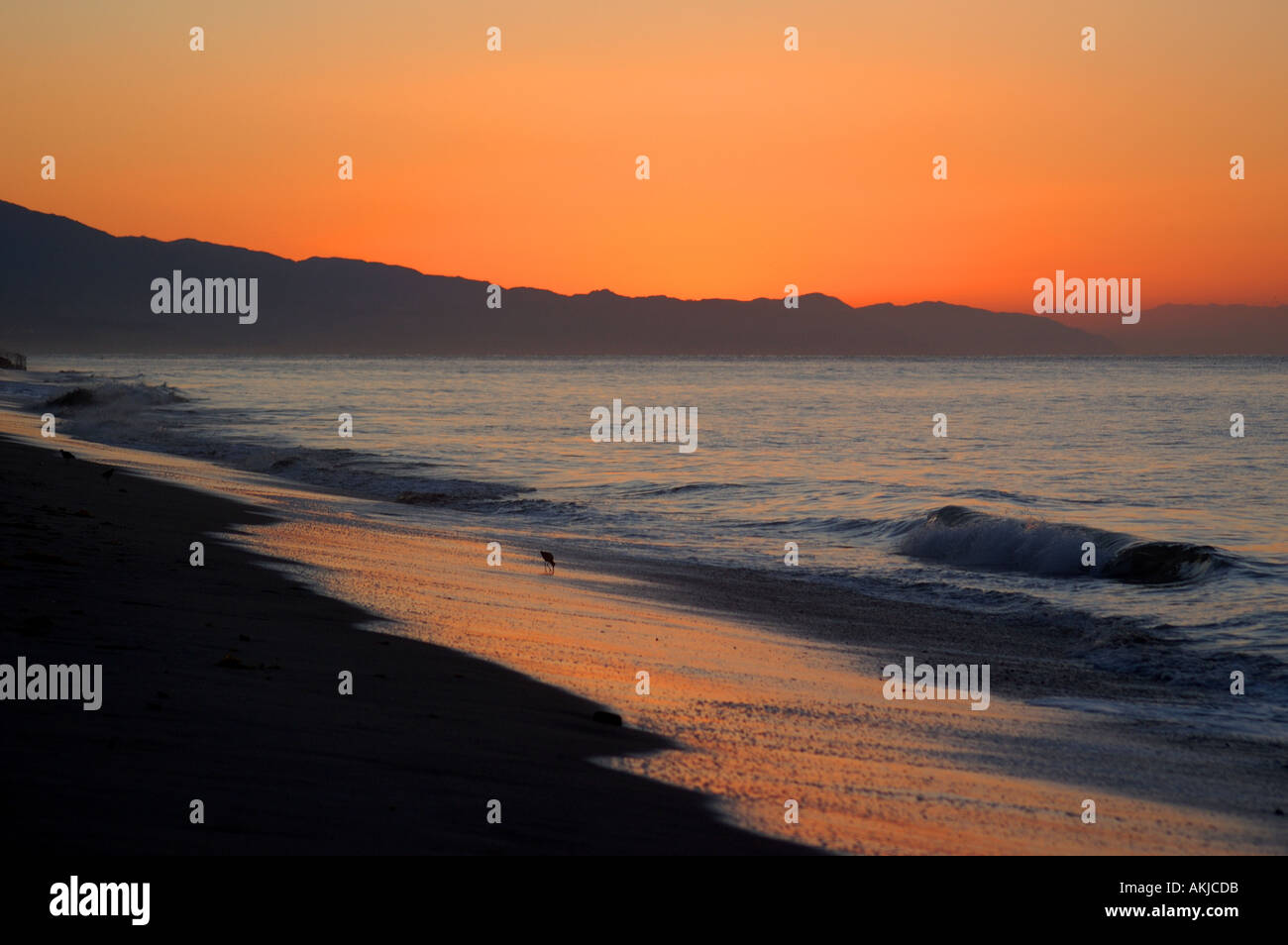 Butterfly beach sunrise hi-res stock photography and images - Alamy
