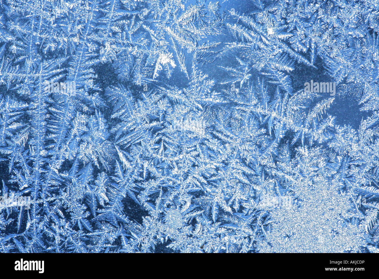 hoarfrost texture #2 Stock Photo - Alamy