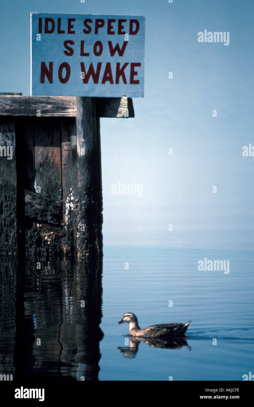 No wake zone hi-res stock photography and images - Alamy
