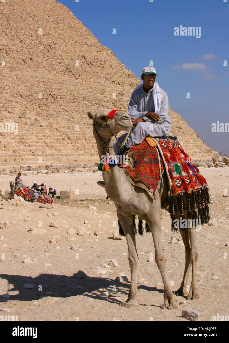 Arab man riding camel on hi-res stock photography and images - Alamy
