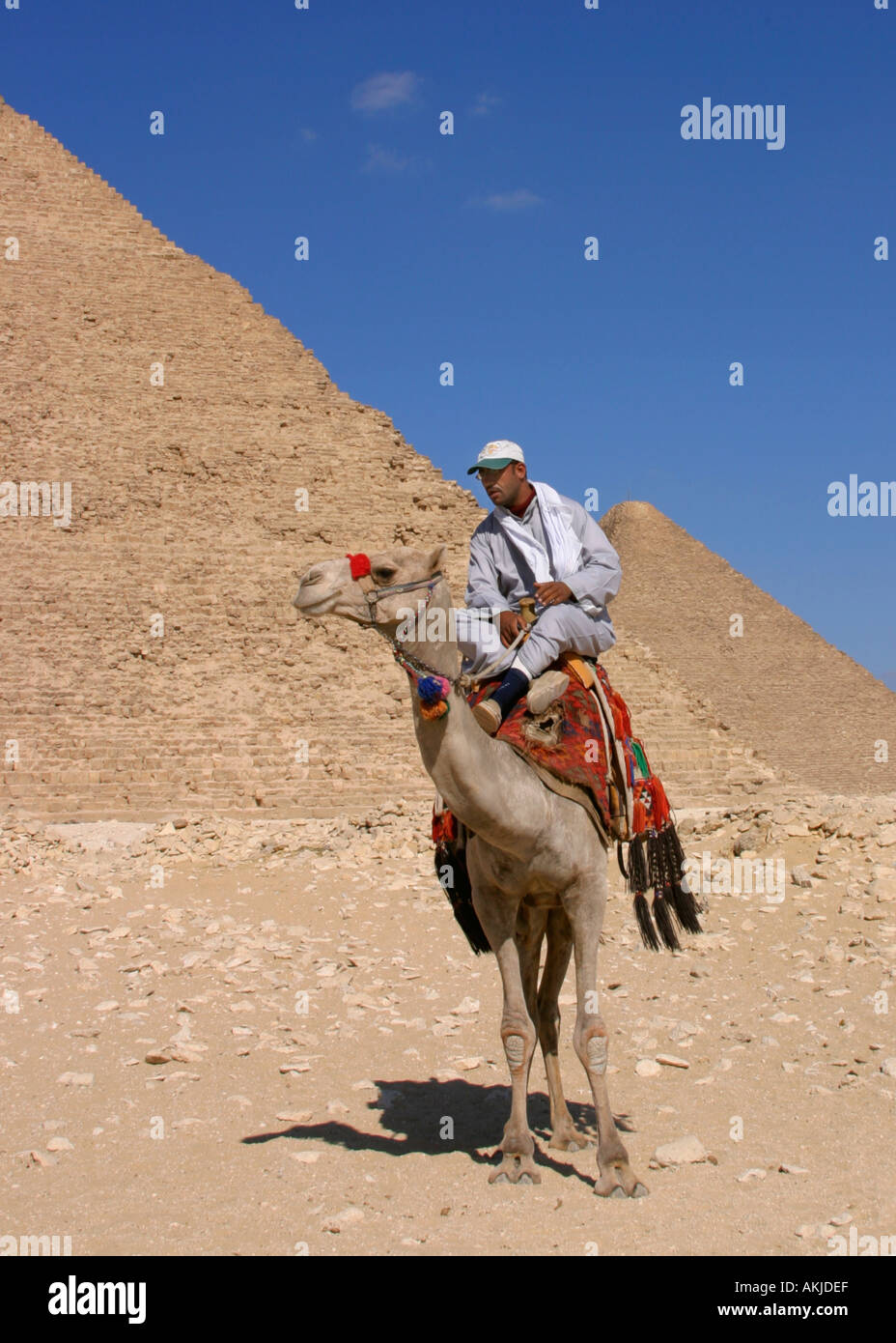 Egyptian Tour Guide Riding Camel In Front Of Pyramid Stock Photo - Alamy