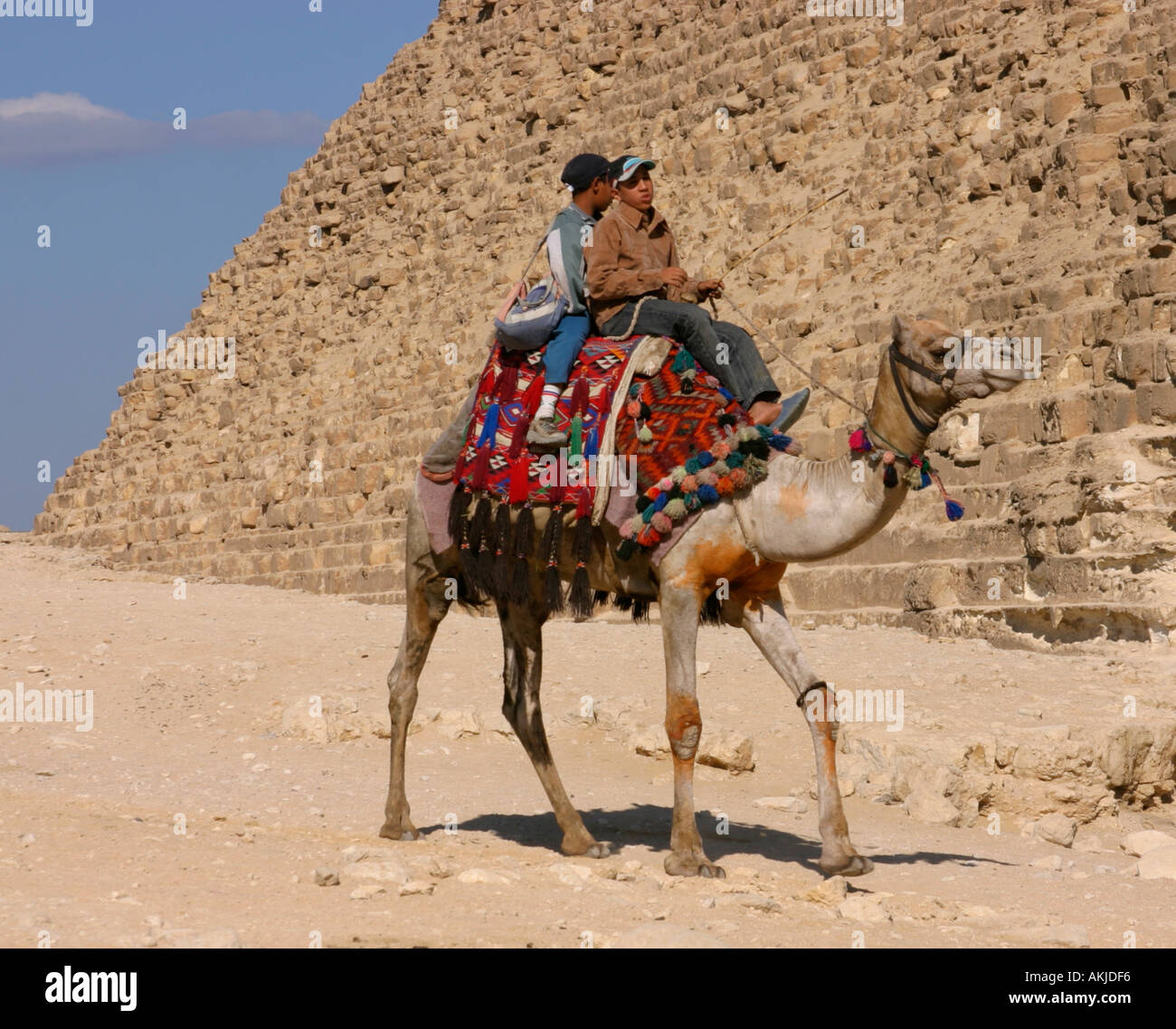 camel ride in front of Pyramid Stock Photo - Alamy
