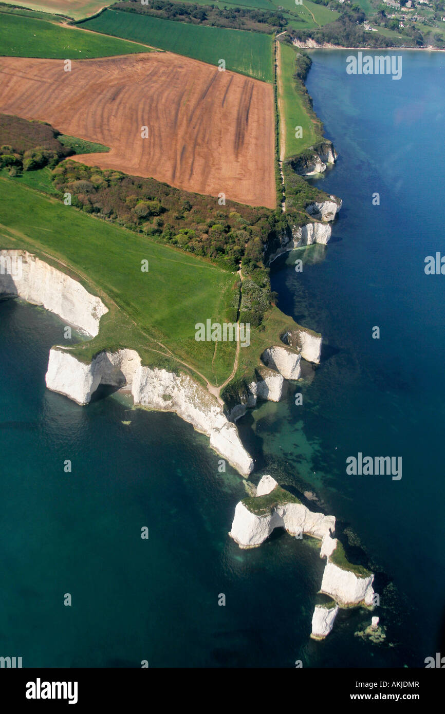Aerial view of Old Harry Rocks Swanage Dorset England UK Stock Photo ...