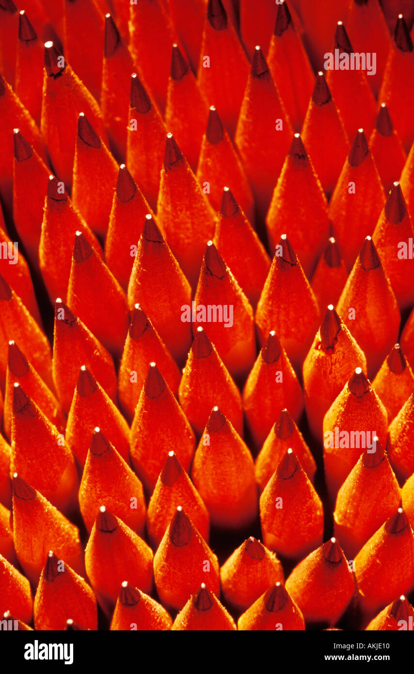 Number two pencil hi-res stock photography and images - Alamy