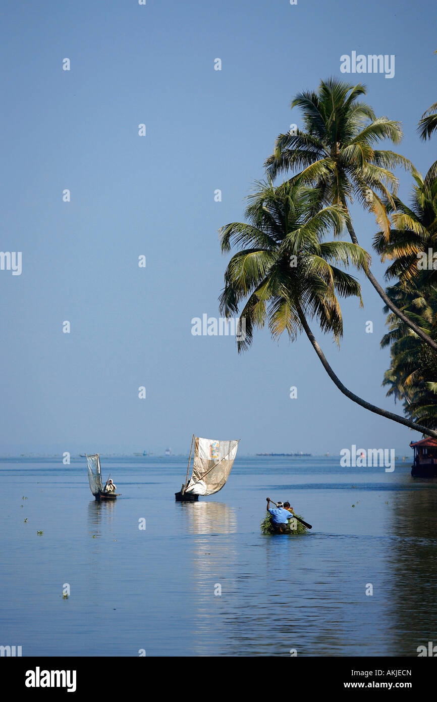 India, Kerala, Allepey, Backwaters Stock Photo - Alamy